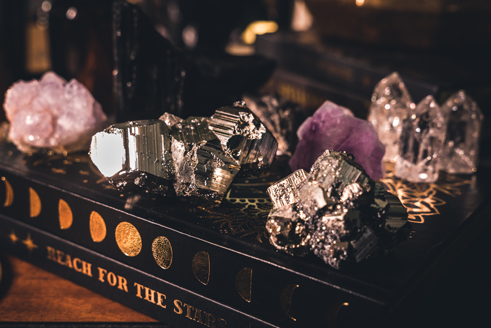 Guest Workshops – Lunar & Wild